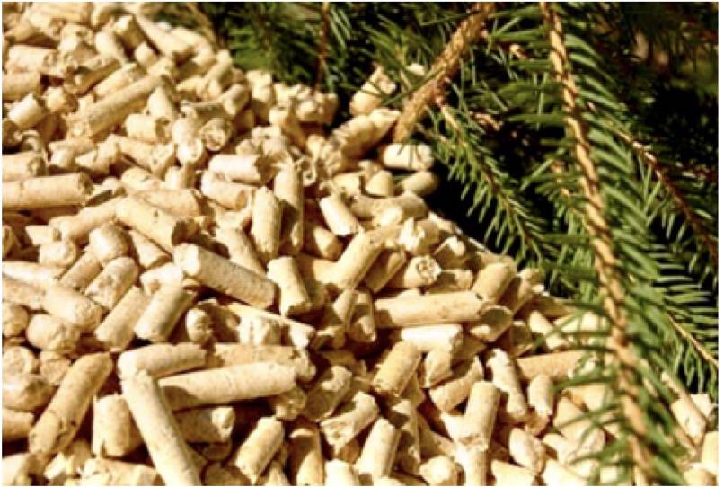Electricity from wood: How does a biomass CHP work? - WE